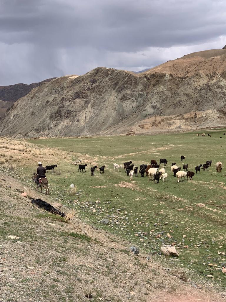 Church in Central Asia | MissionInvest